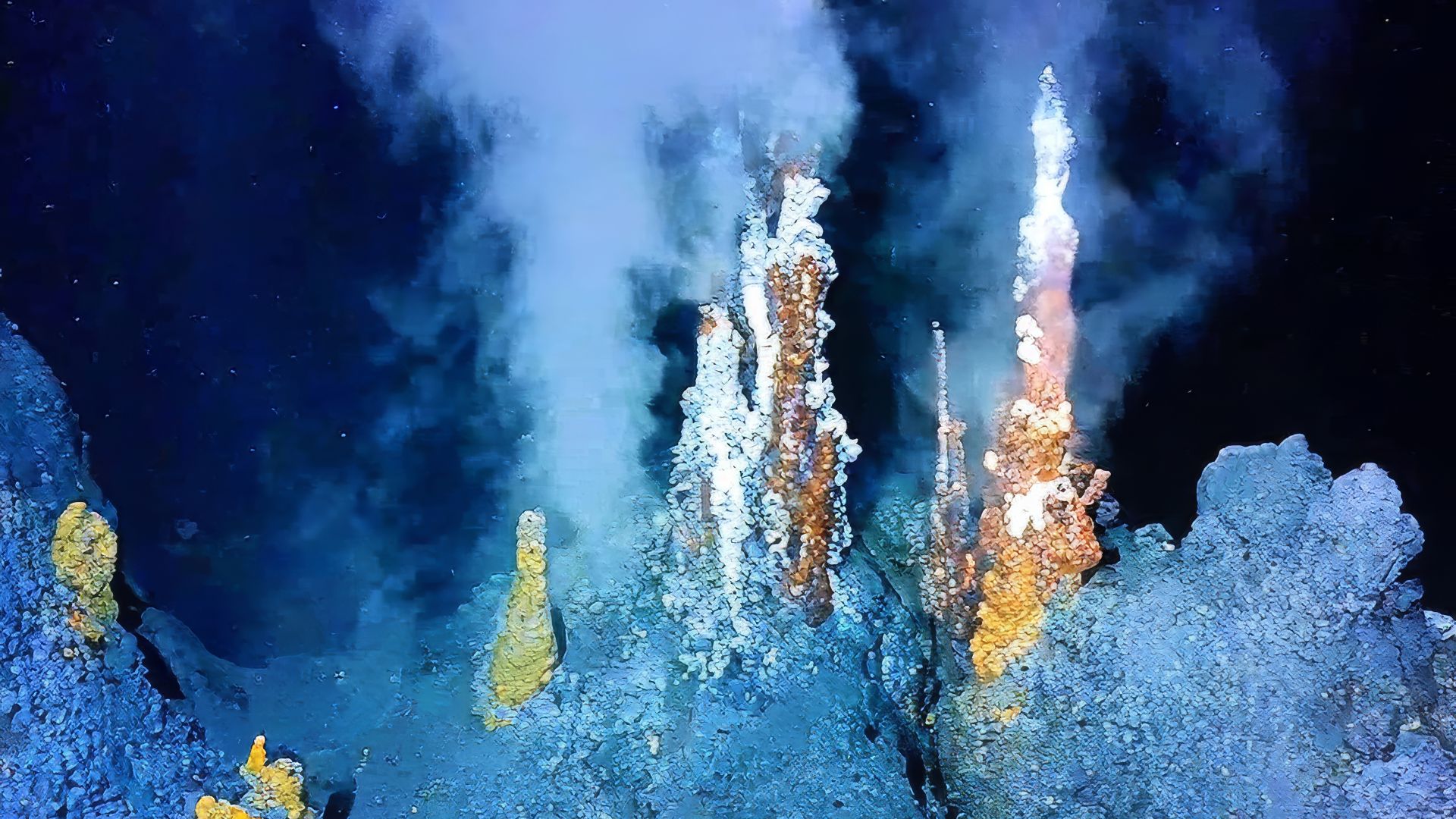 Scientists Discover Hydrothermal World Hidden Beneath The Pacific Ocean ...