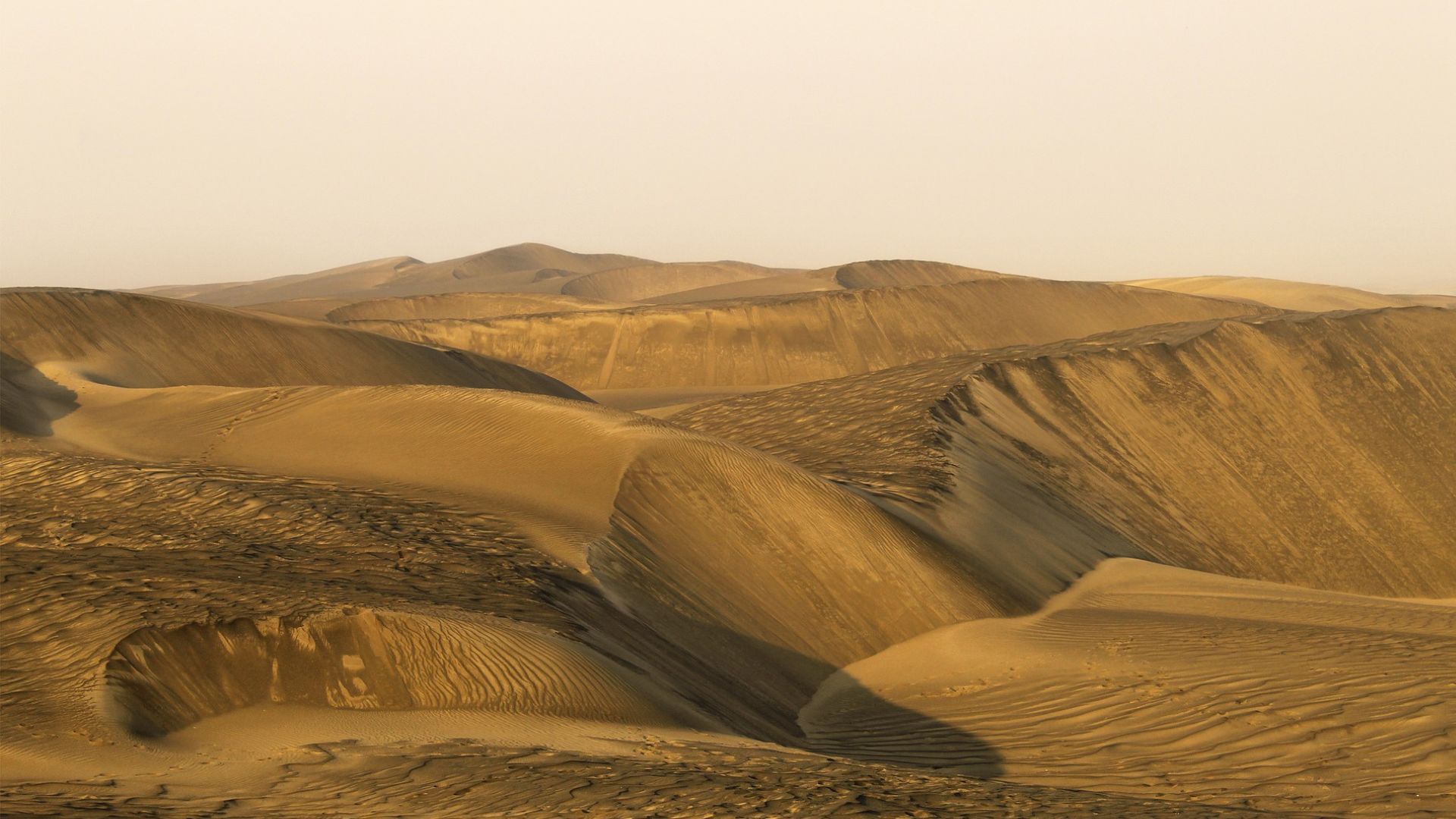 500-Year-Old Treasure Ship Found in the Namibian Desert - Pets Fanatic